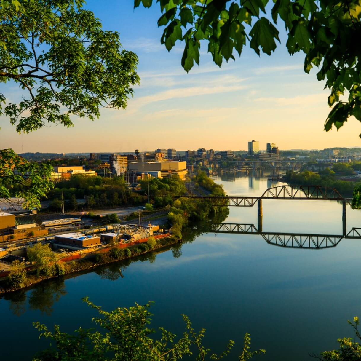 Graduate Programs for Working Professionals in TN